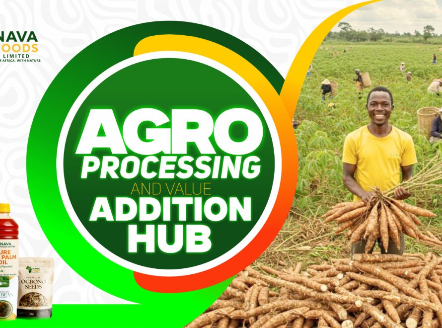 Services – Nava food