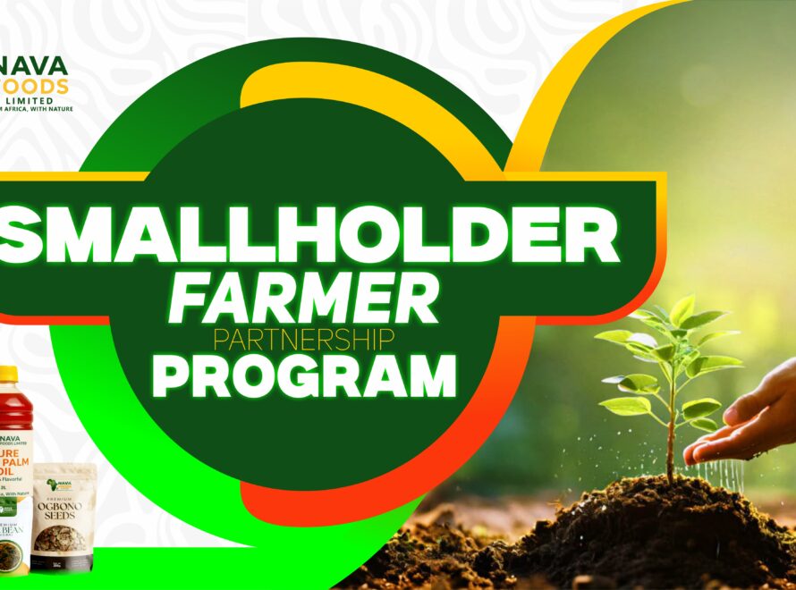 Services – Nava food