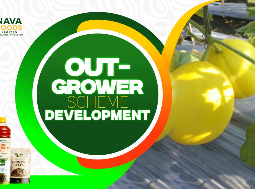 Services – Nava food