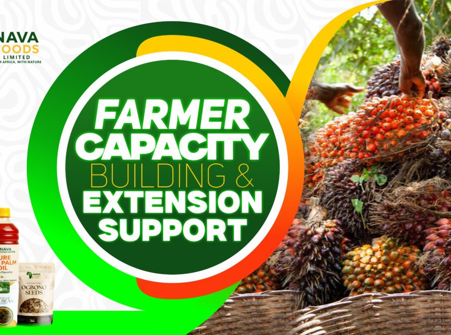 Services – Nava food