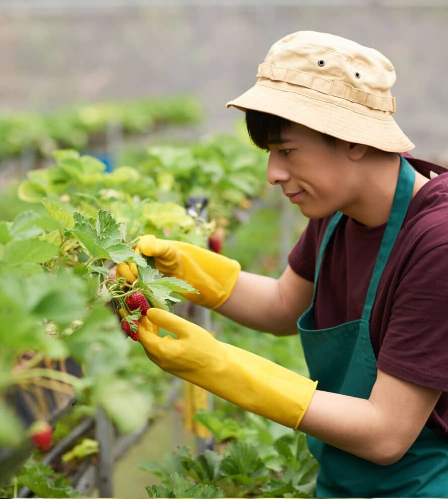 Portfolio Sortable Grid Col 3 – Nava food