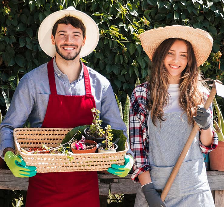 Our History – Nava food